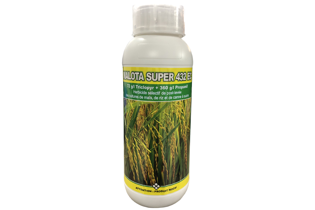 Index of /assets/images_larges/