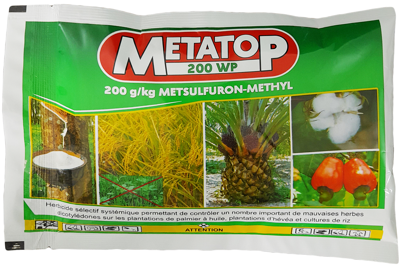 Index of /assets/images_larges/